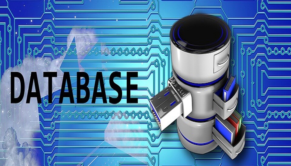 The Importance of SQL and Business Databases The Importance of SQL and Business Databases