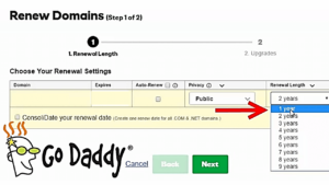 Renew Your Domain for Cheap with GoDaddy