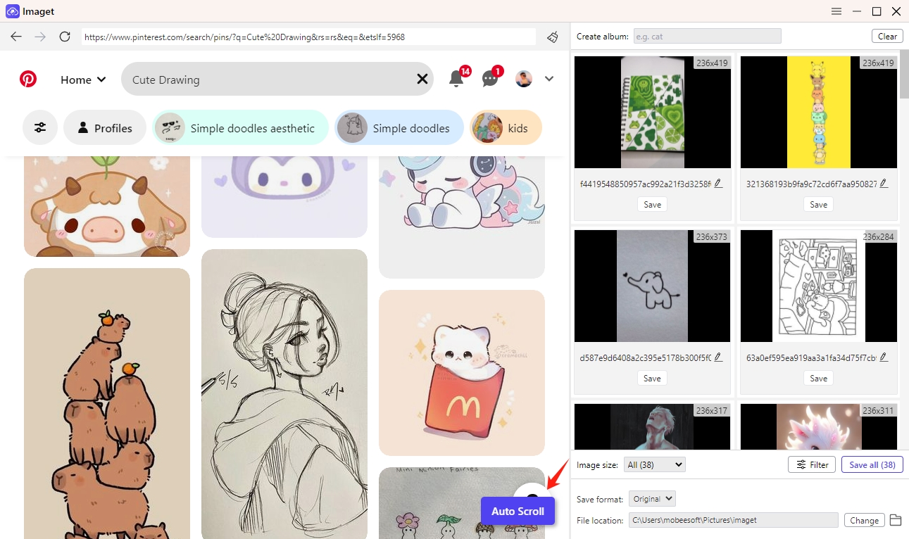 How to Download Pinterest Images With Imaget Downloader?
