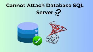 Why Cannot Attach Database SQL Server? Know the Complete Guide